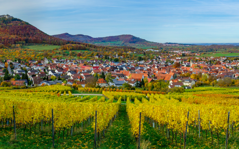 Kabinettsausschuss Ländlicher Raum eingesetzt